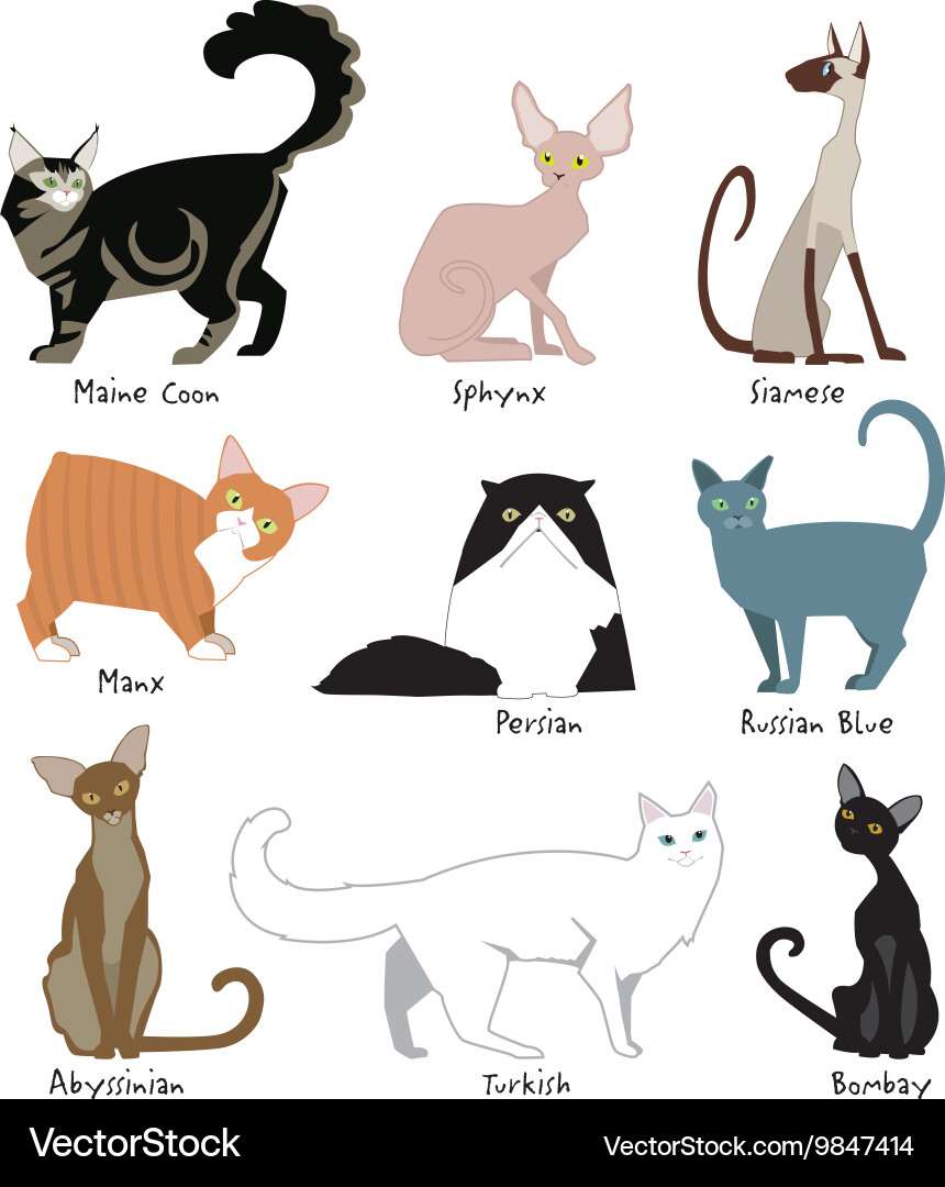 Cats Royalty Free Vector Image - VectorStock