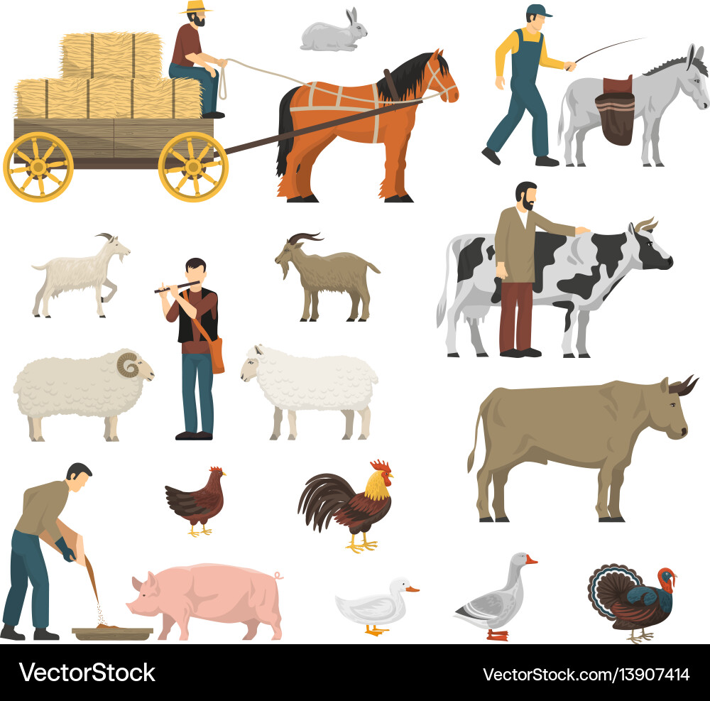 Farm animals set Royalty Free Vector Image - VectorStock