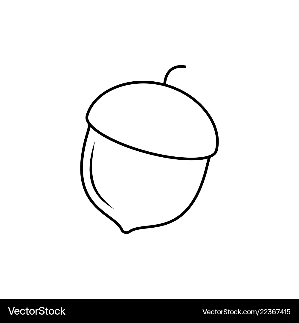 Acorn Outline Download Acorn, Sketch, Autumn. Royalty Free Vector