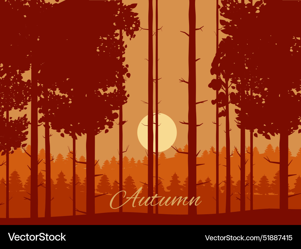 Autumn forest fall trees with sunset Royalty Free Vector
