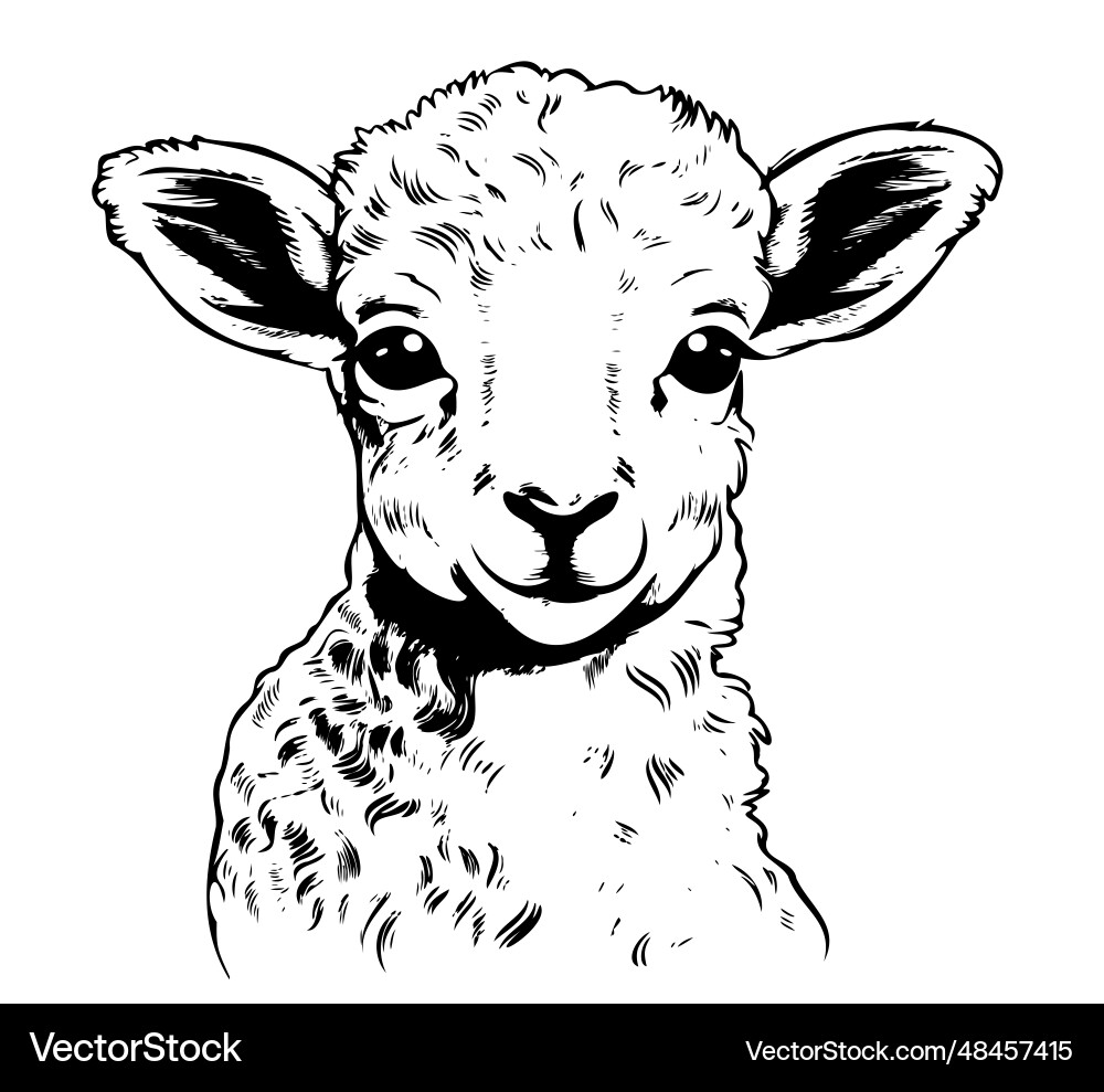 Farm cute lamb hand drawn sketch Royalty Free Vector Image