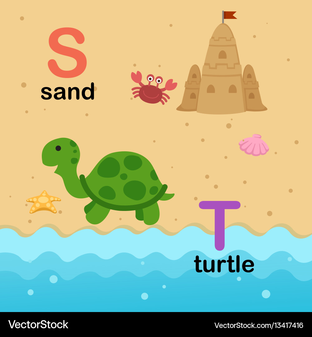 Alphabet letter s-sand t-turtle Royalty Free Vector Image