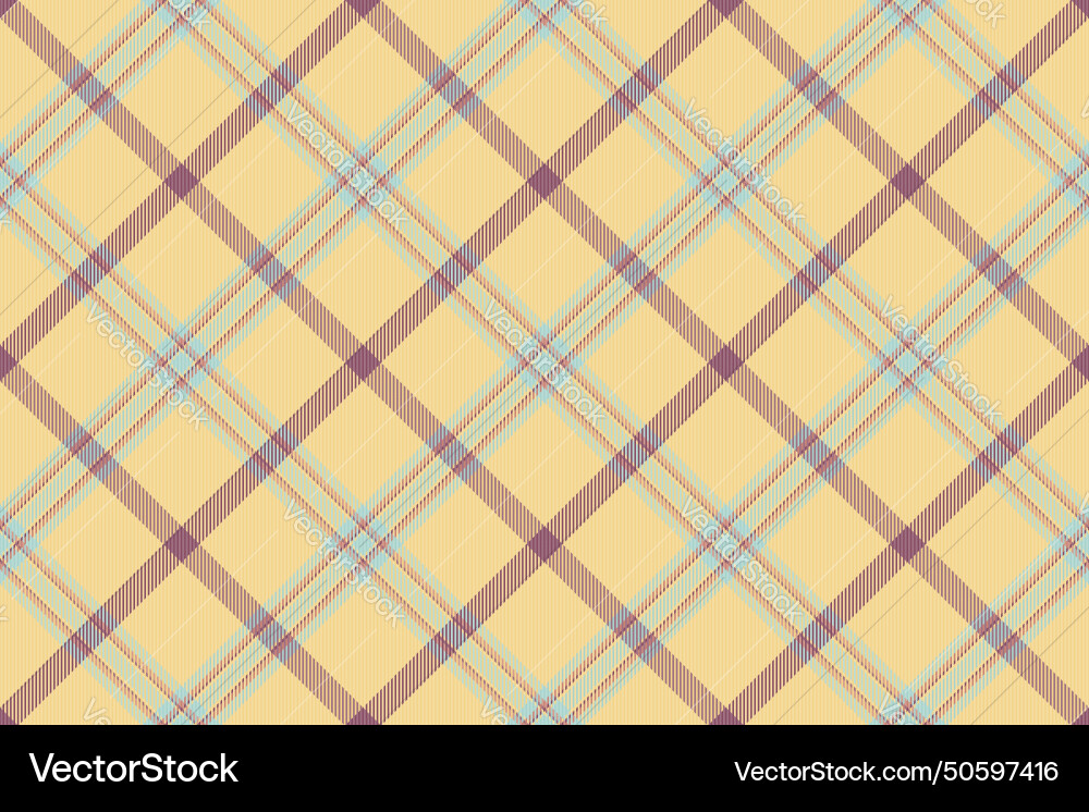 Check tartan pattern of fabric seamless plaid Vector Image