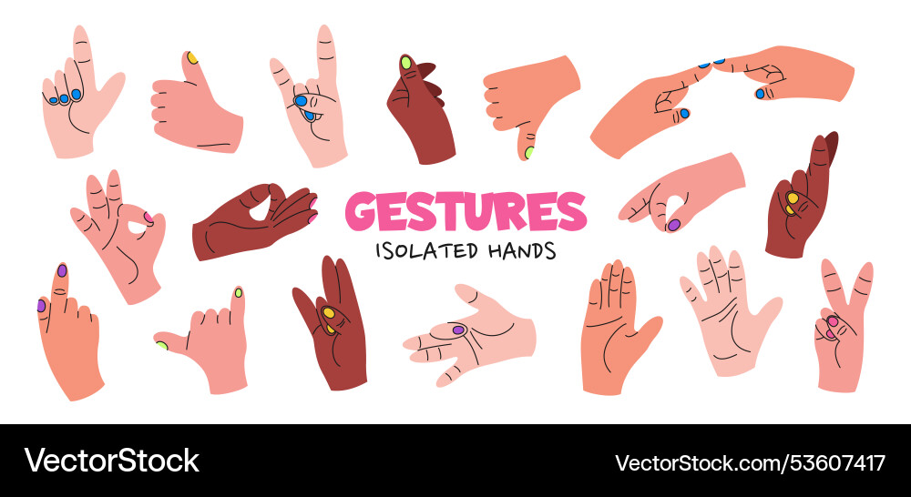 Human hands with different gestures and positions Vector Image