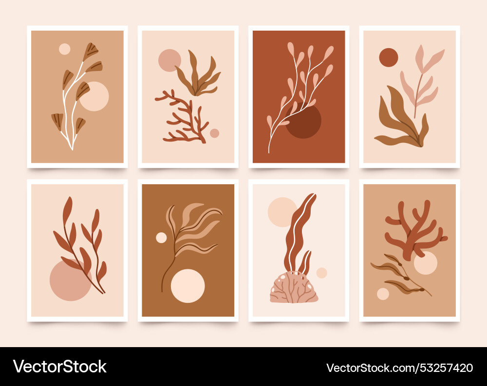 Botanical posters set with algae corals plants Vector Image