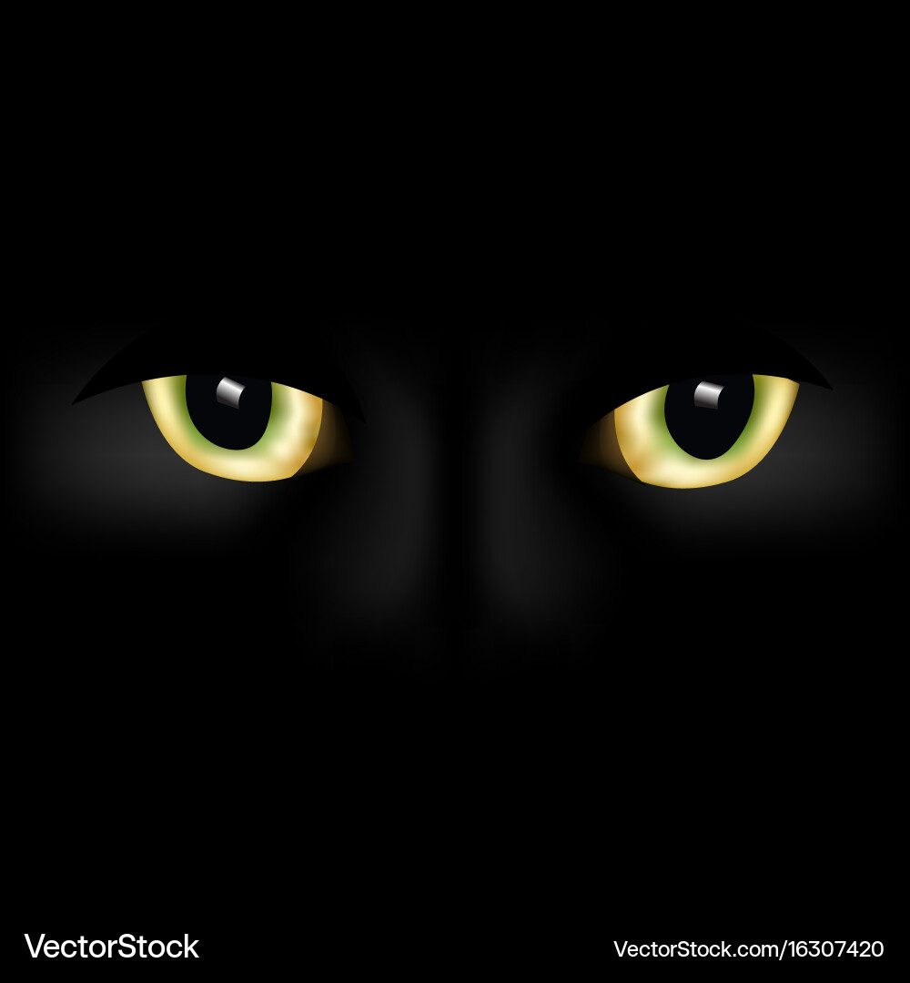 Dramatic Cat Eyes (16307420) – Royalty-Free Vector | VectorStock