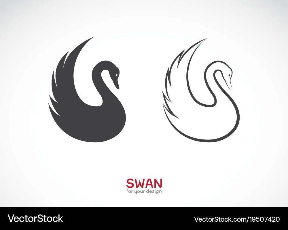 Two swan design on white background wild animals Vector Image