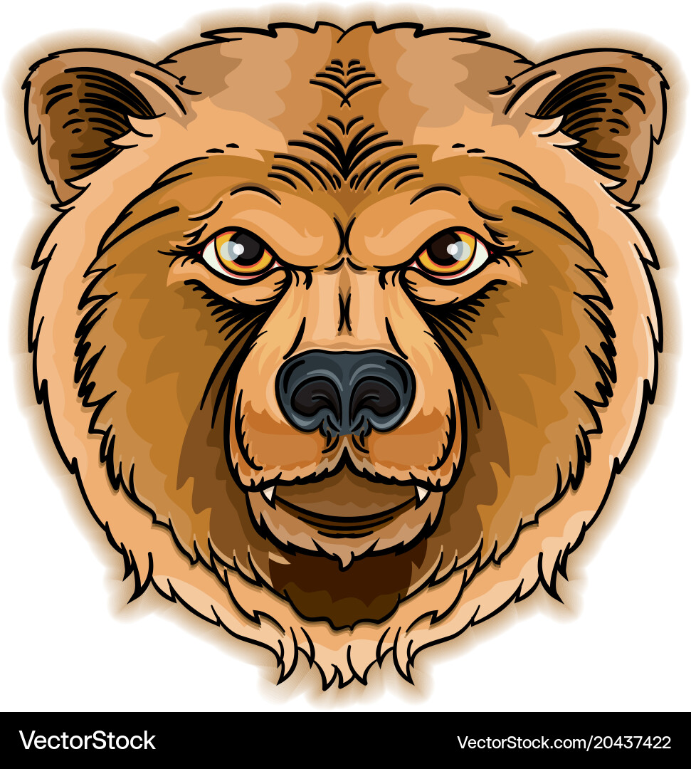 Bear head Royalty Free Vector Image - VectorStock