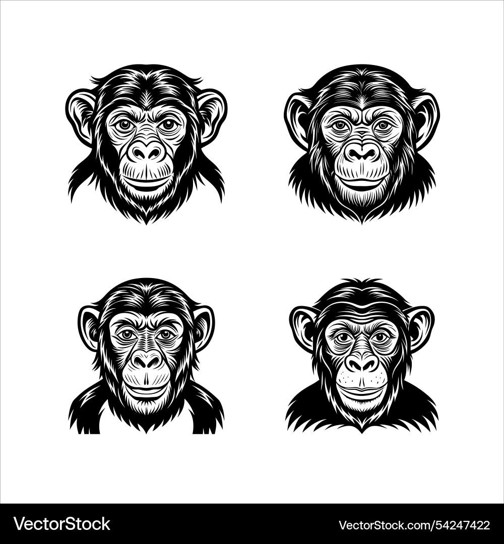 Chimpanzee svg gorilla image Royalty Free Vector Image