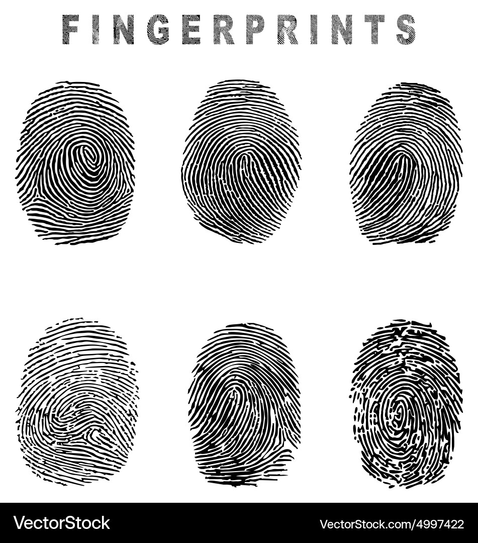 Fingerprints Royalty Free Vector Image - VectorStock
