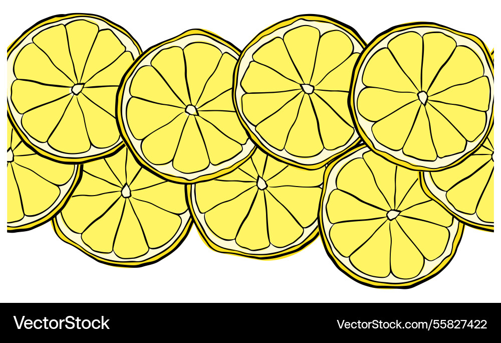Lemon slices design with graphic line ink hand Vector Image