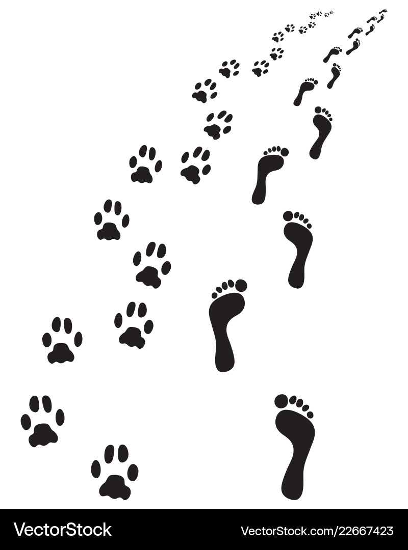 Left and Right Foot Vector Images (over 290)