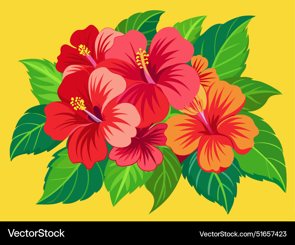 Hibiscus flower bunch f Royalty Free Vector Image