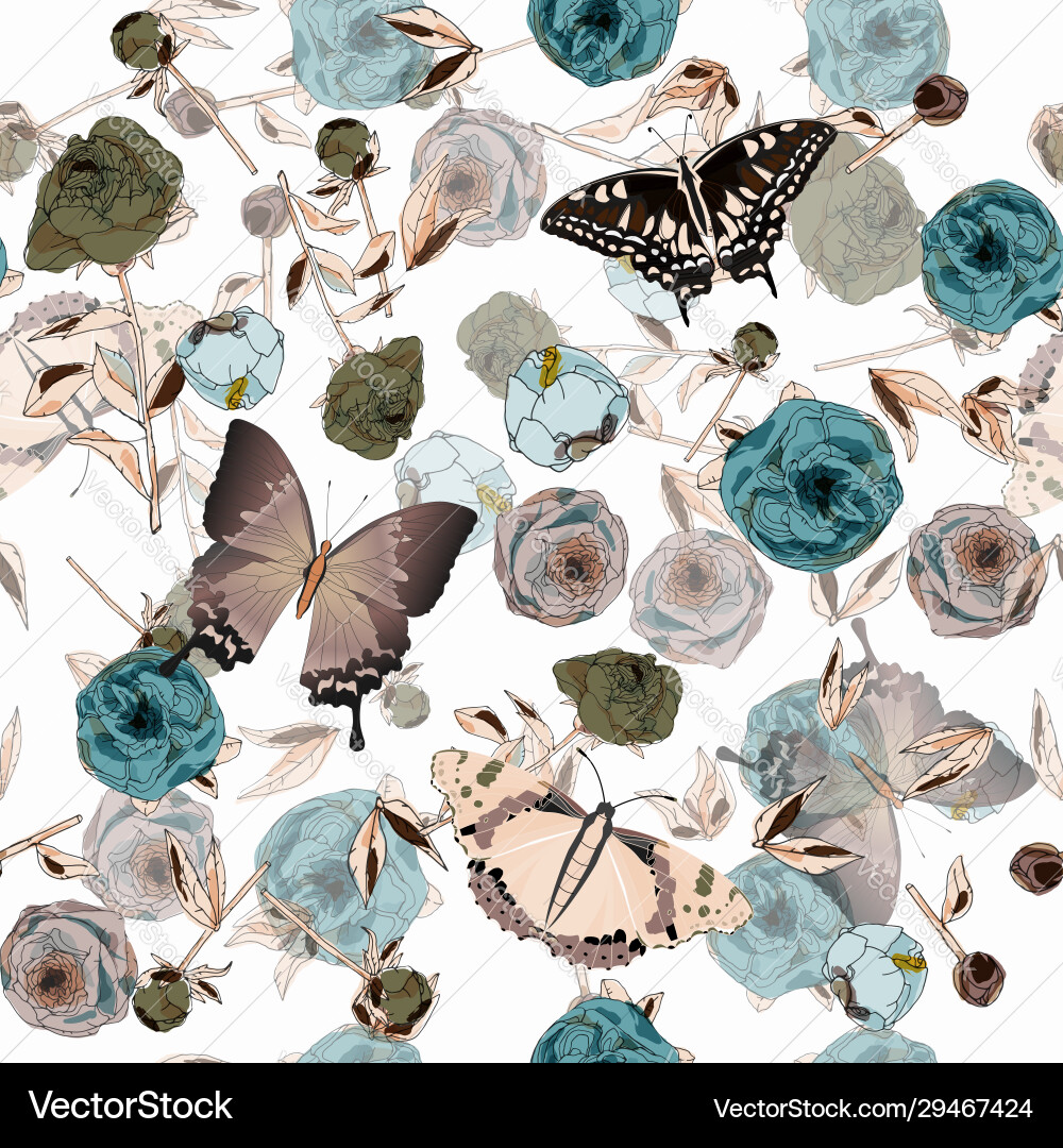 Butterfly and leaves stems inflorescences Vector Image