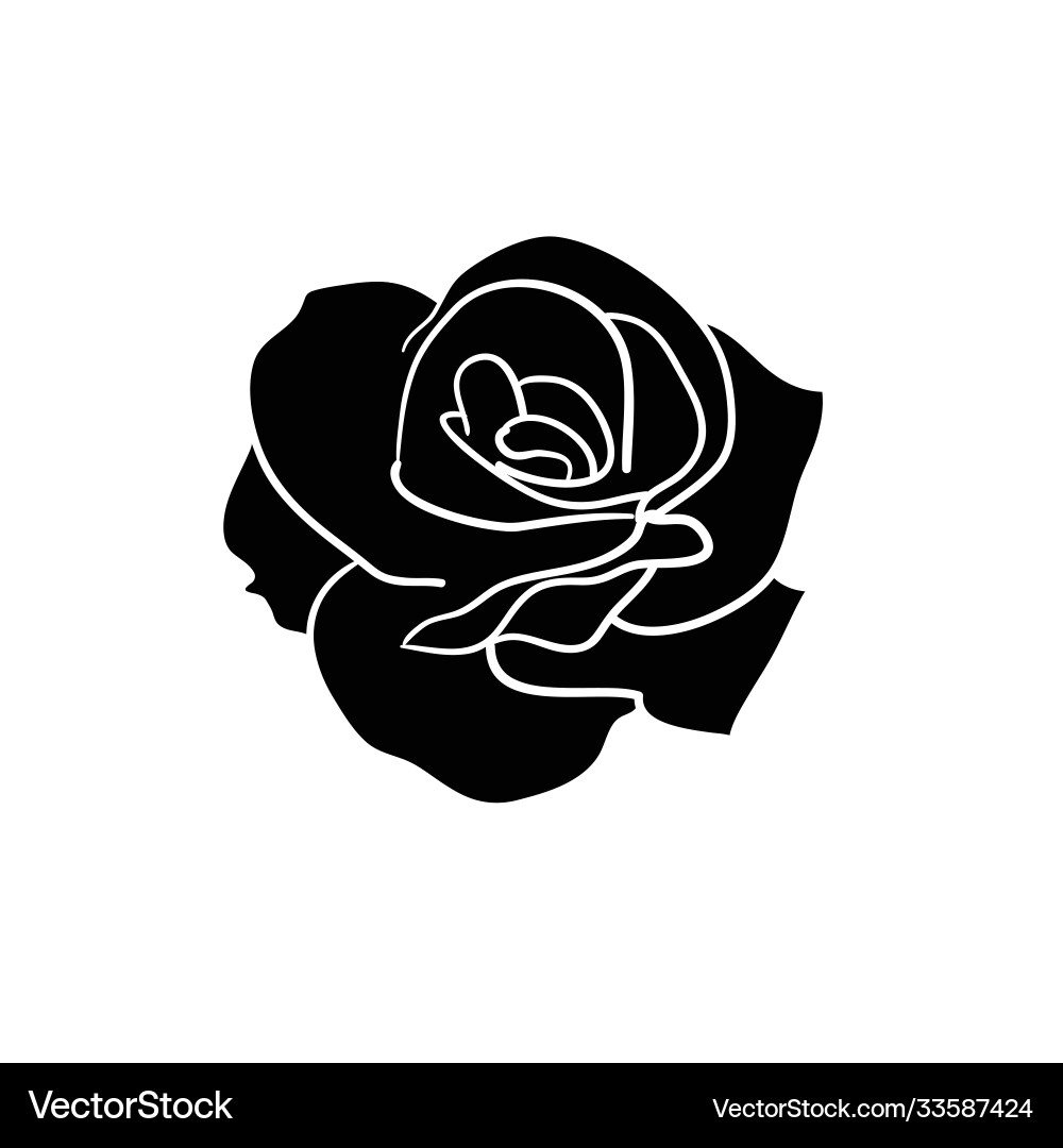 Rose flower template design Royalty Free Vector Image