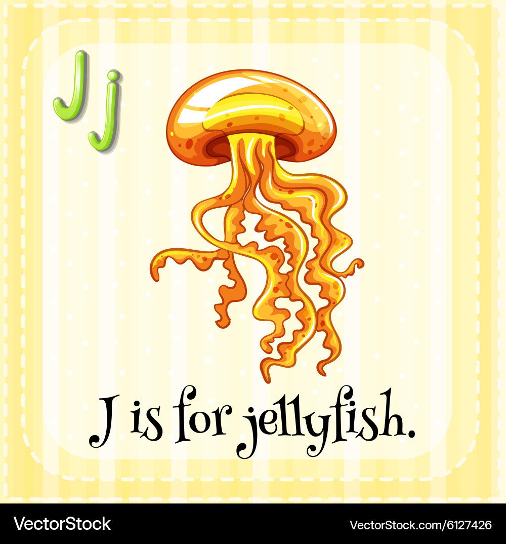 Flashcard letter j is for jellyfish Royalty Free Vector
