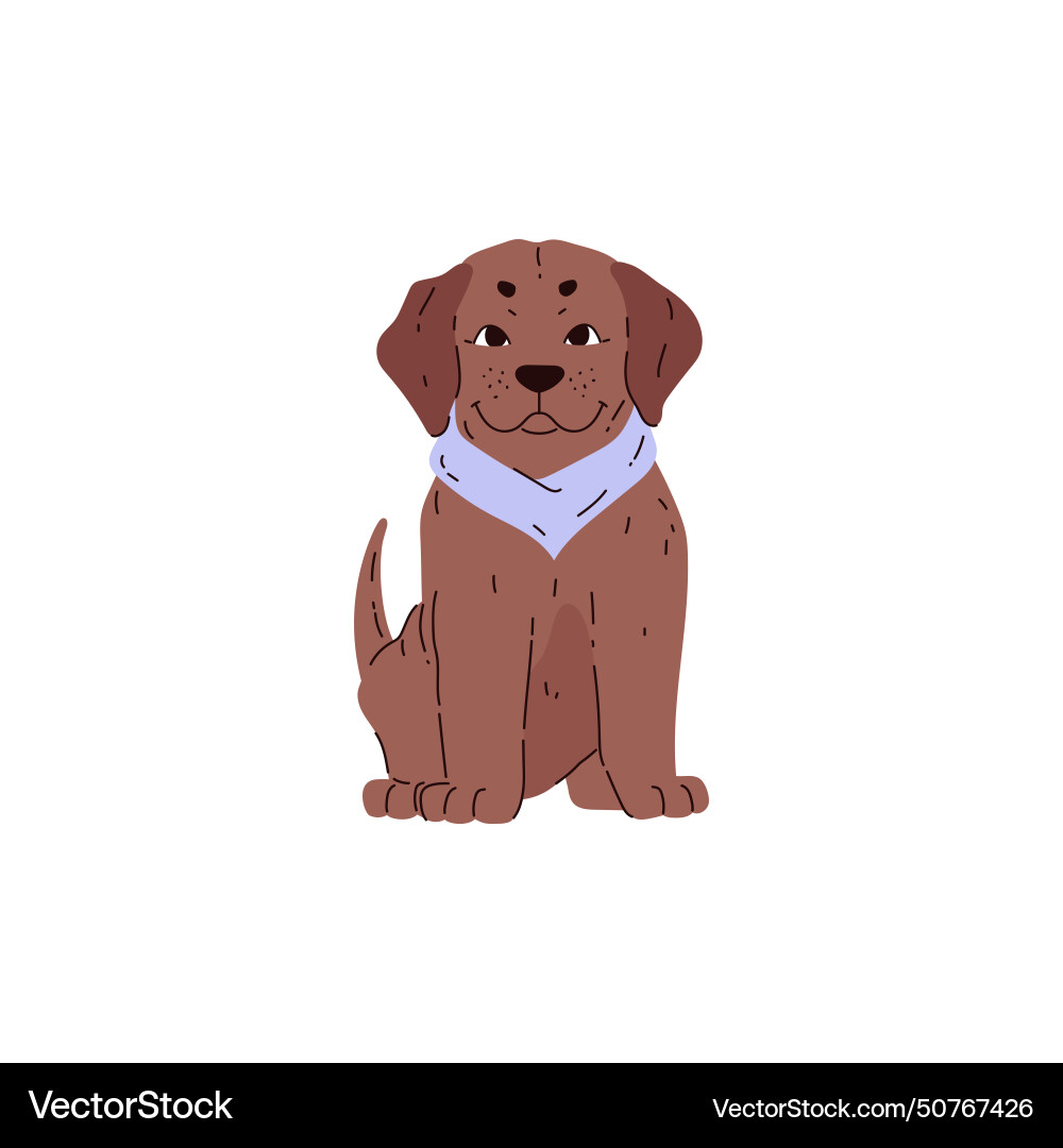 Labrador adorable chocolate Royalty Free Vector Image