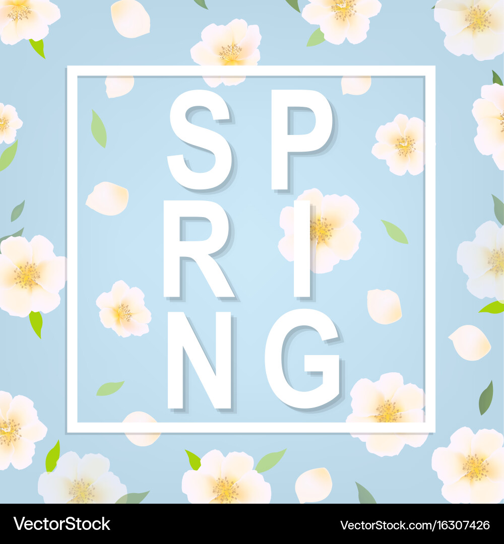 Spring Cherry Blossom Banner Royalty Free Vector Image