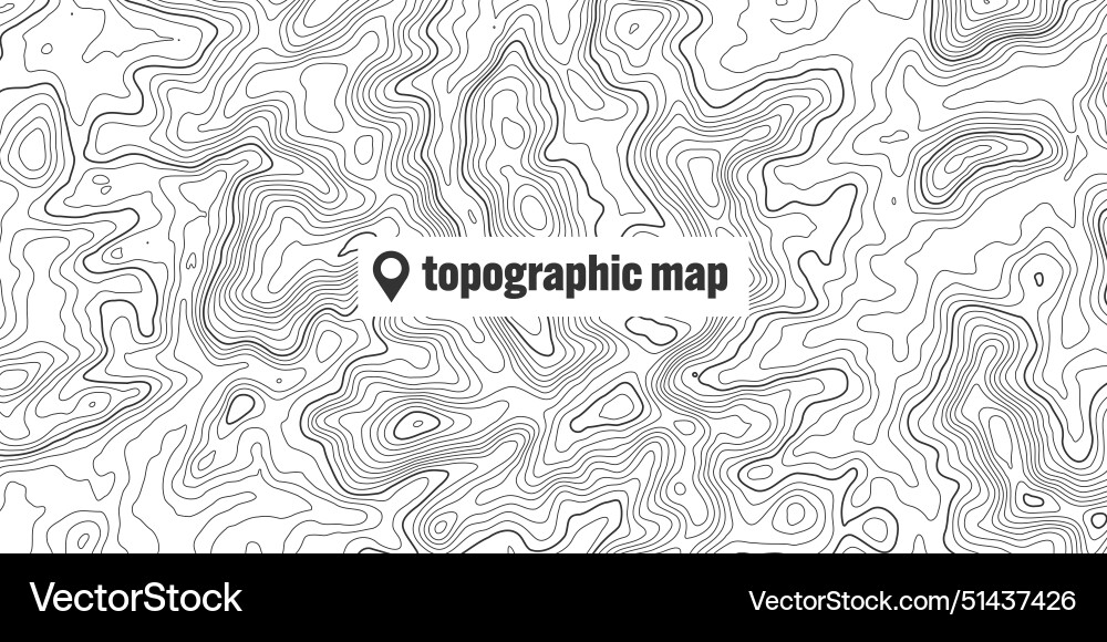 Topographic map with contour lines geographic Vector Image