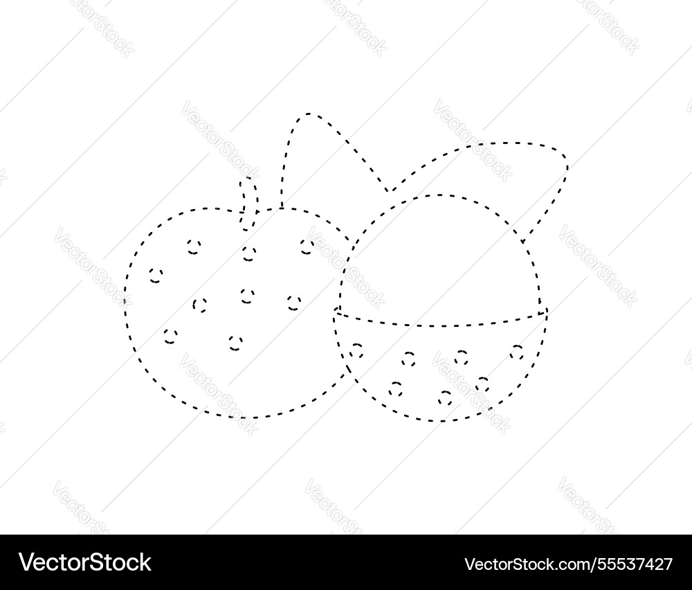 Dashed longan outline for coloring book template Vector Image