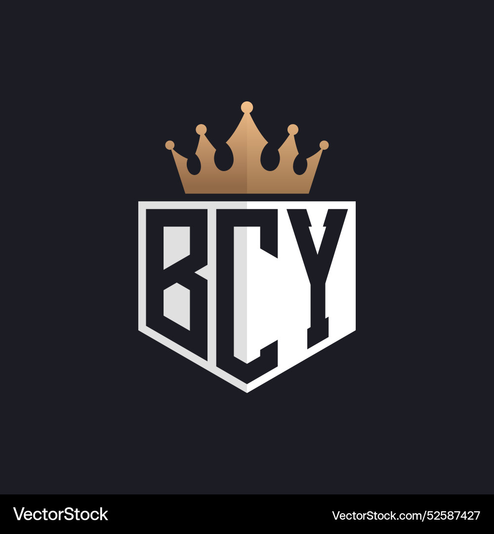 Luxury bcy logo with crown elegant initials Vector Image