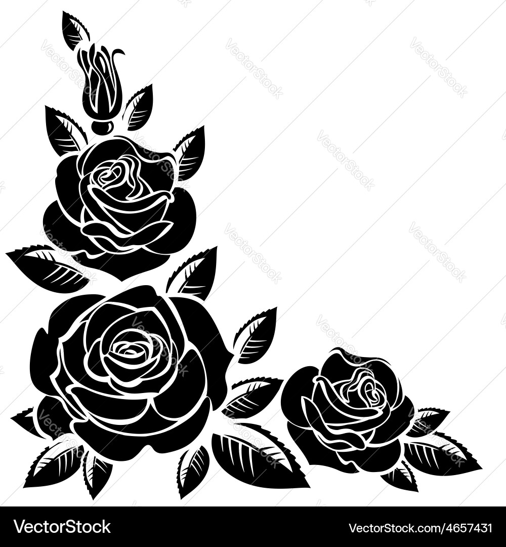 Elegant Rose Branch Royalty Free Vector Image - VectorStock