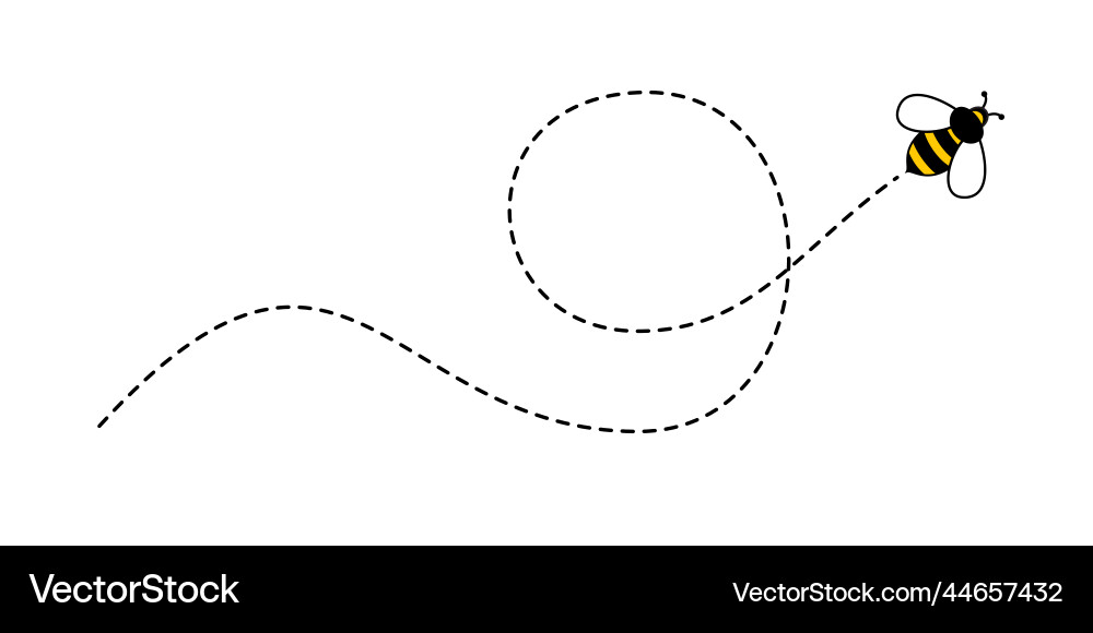 Bee fly in line flight on dotted route path Vector Image