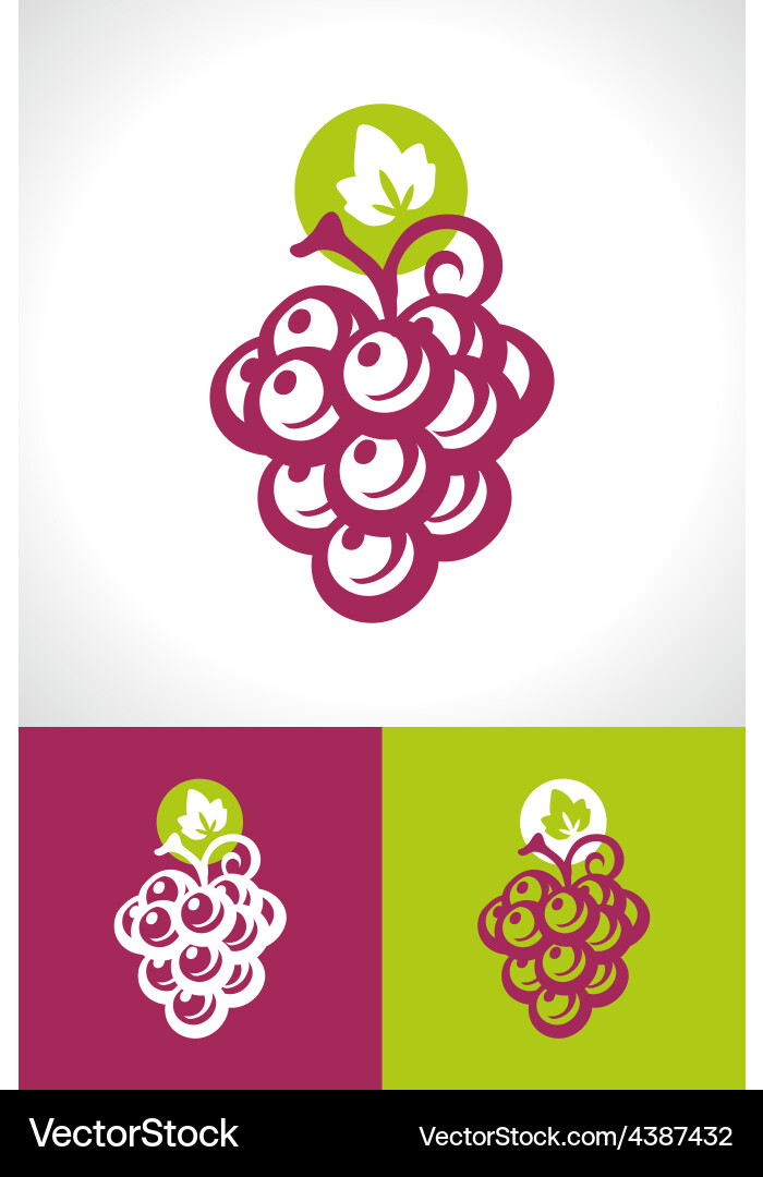 Grape and vine icon Royalty Free Vector Image - VectorStock