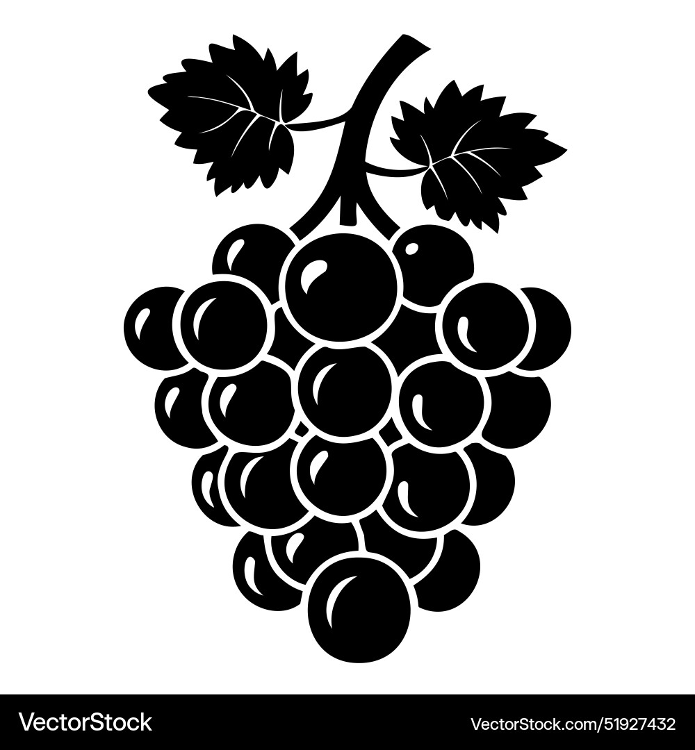 Grape bunch with leaves black and white Royalty Free Vector