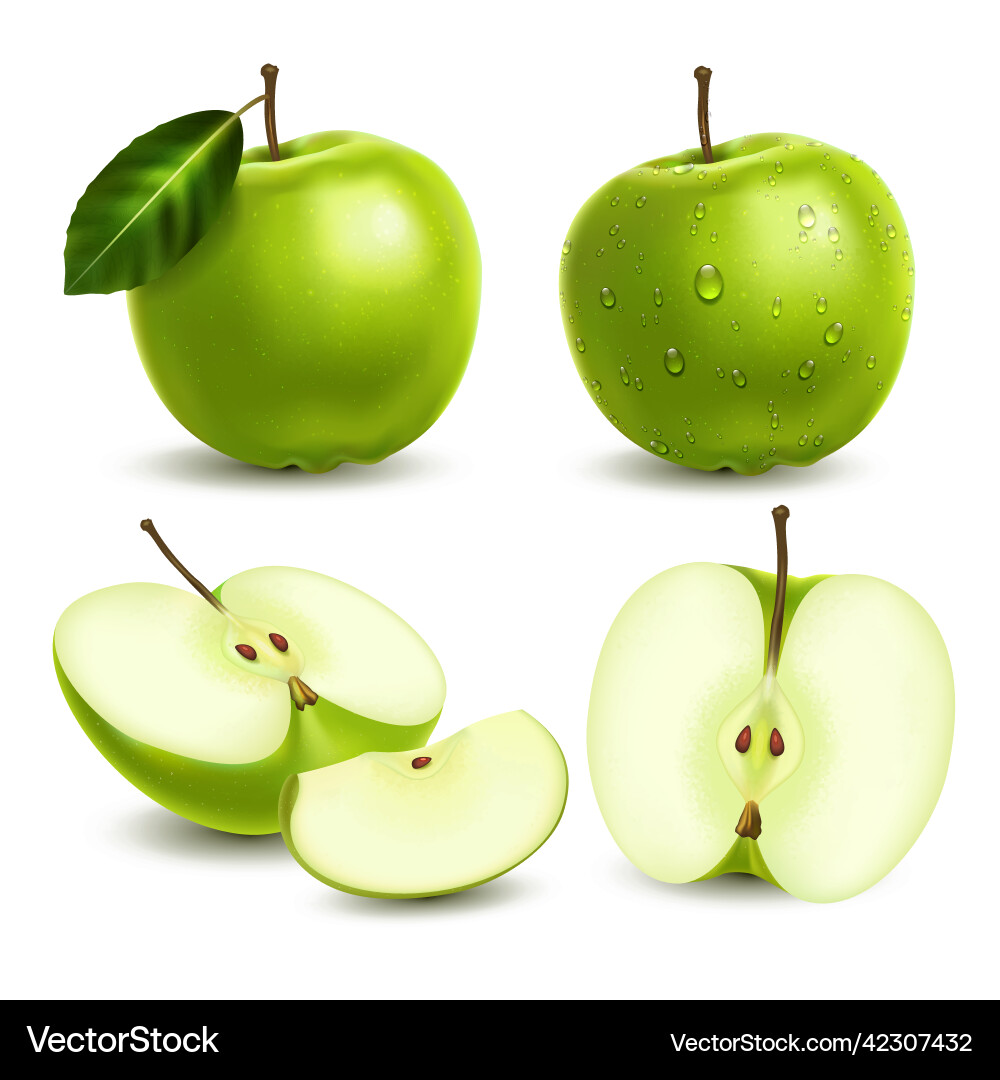 Realistic apple set Royalty Free Vector Image - VectorStock