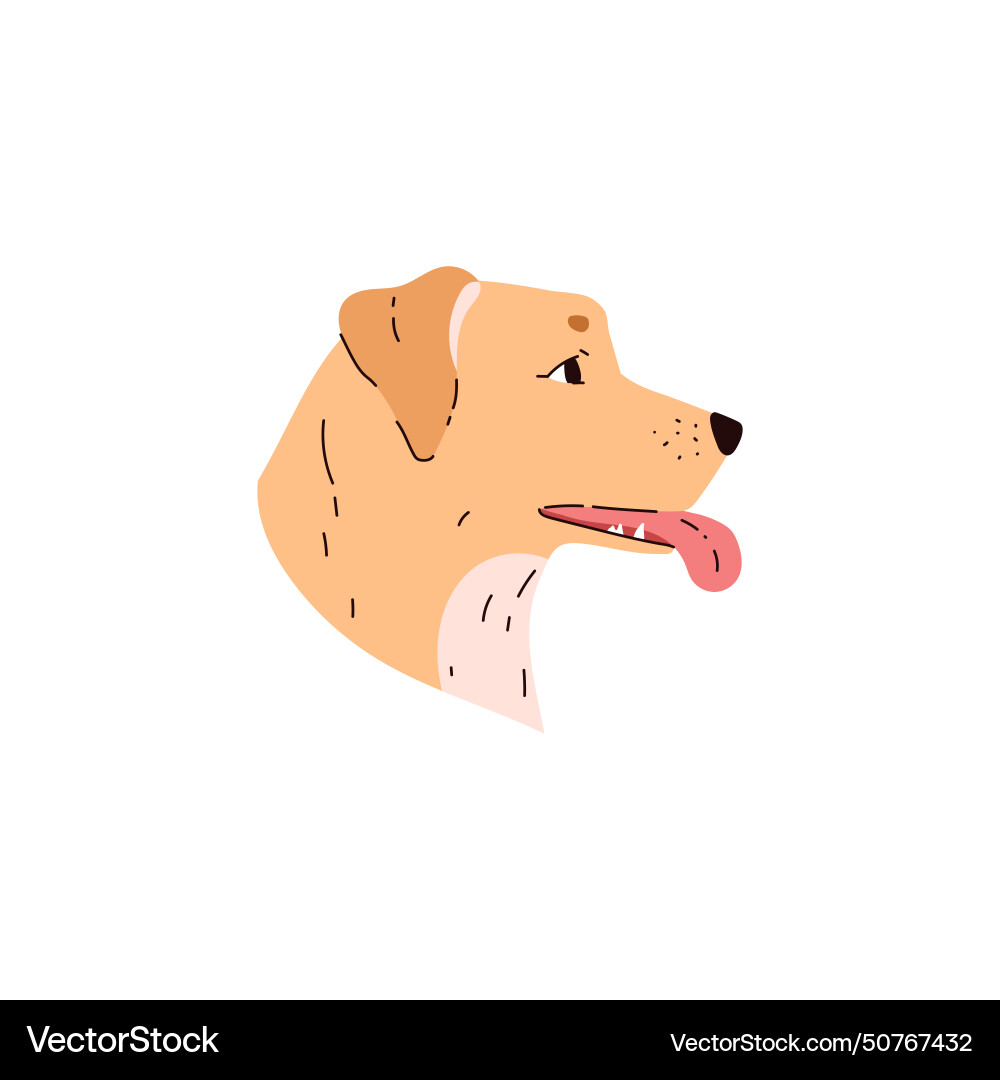 Side profile of labrador retriever head Royalty Free Vector