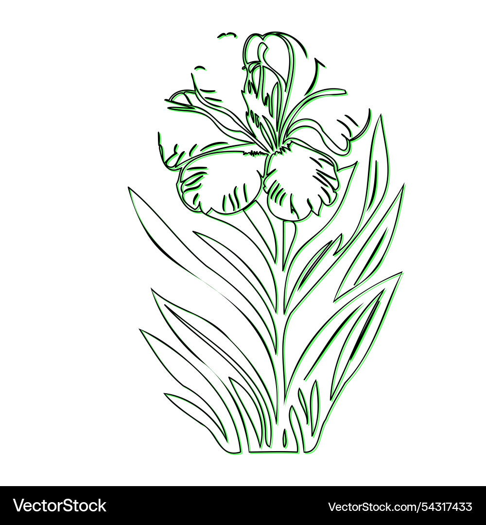 Line art flower drawing Royalty Free Vector Image