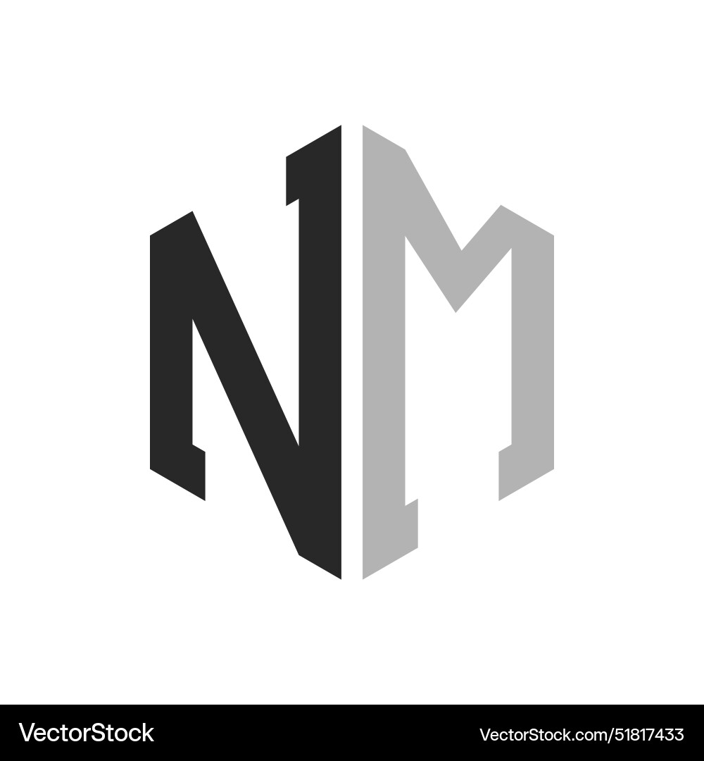 Modern unique hexagon letter nm logo design Vector Image