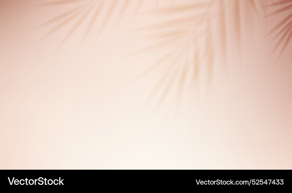 Palm tree branch with pink background Royalty Free Vector