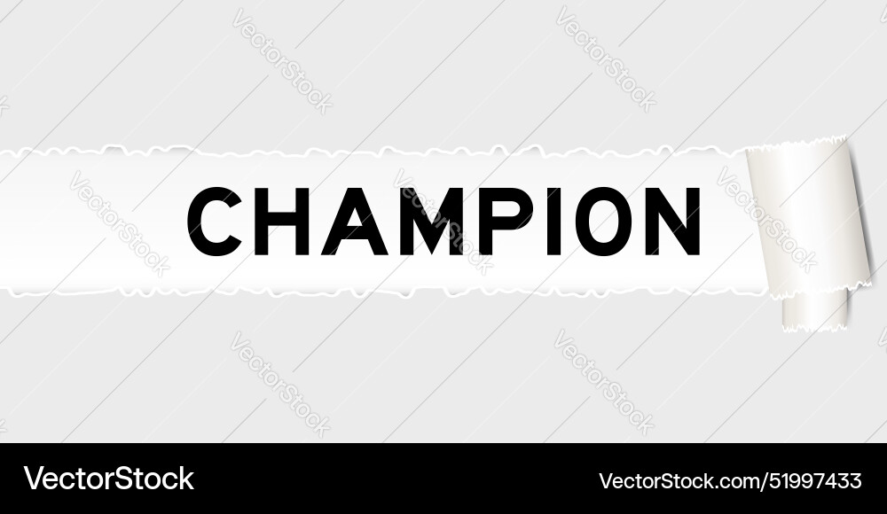 Ripped gray paper background that have word Vector Image