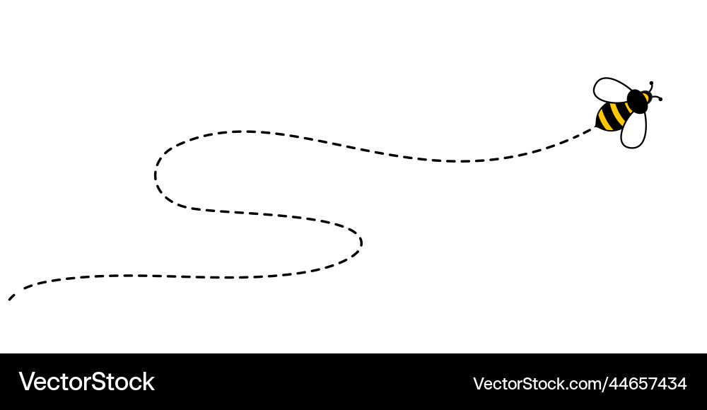 Bee fly on dotted route bumblebee flying Vector Image