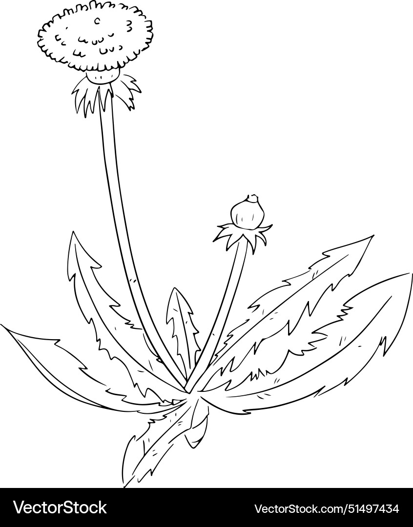 Bloom coloring book for kids 021 Royalty Free Vector Image