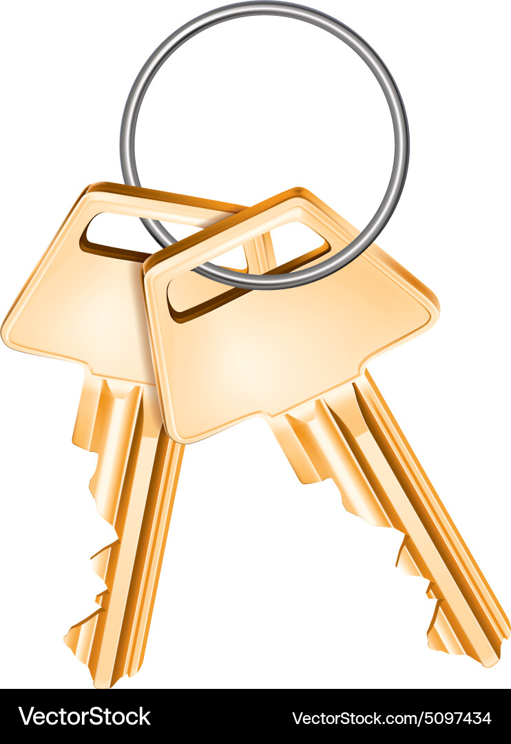 Golden keys Royalty Free Vector Image - VectorStock