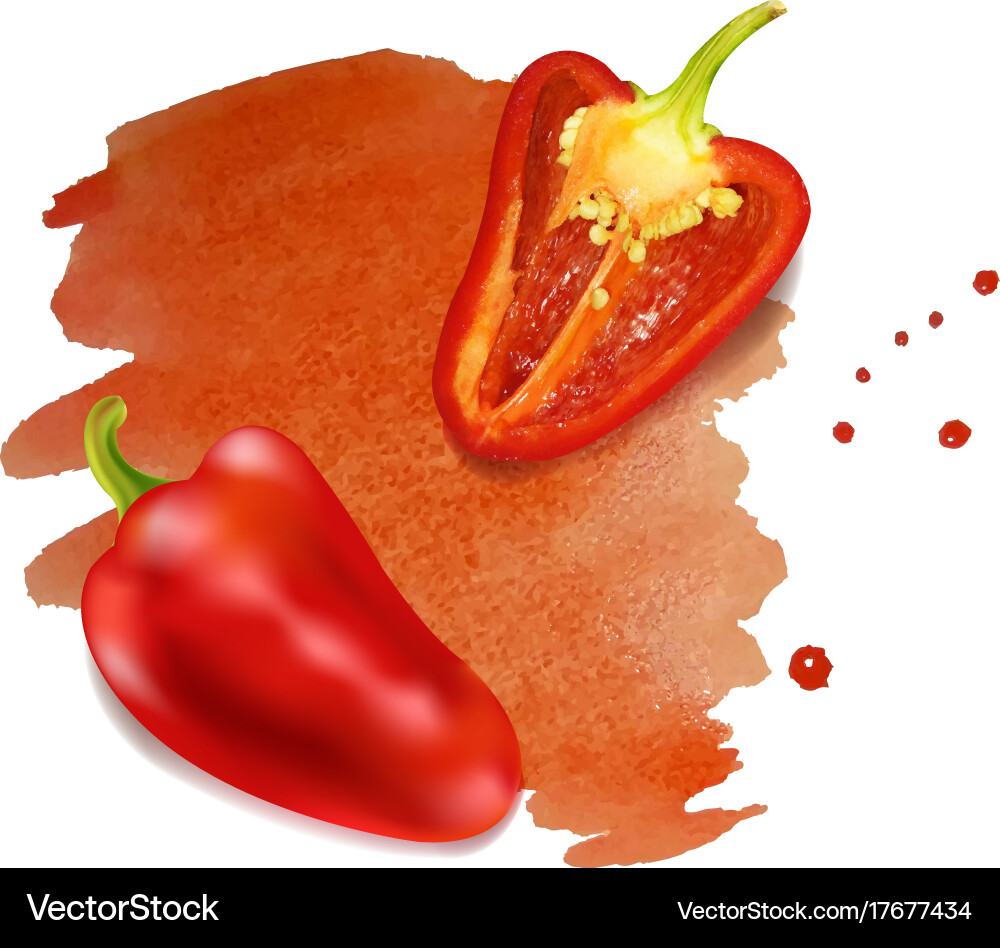 Red pepper Royalty Free Vector Image - VectorStock