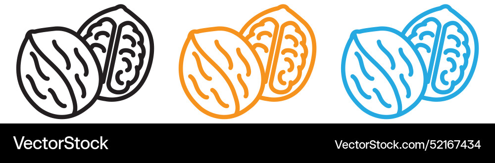 Walnut icon logo set collection for web app ui Vector Image