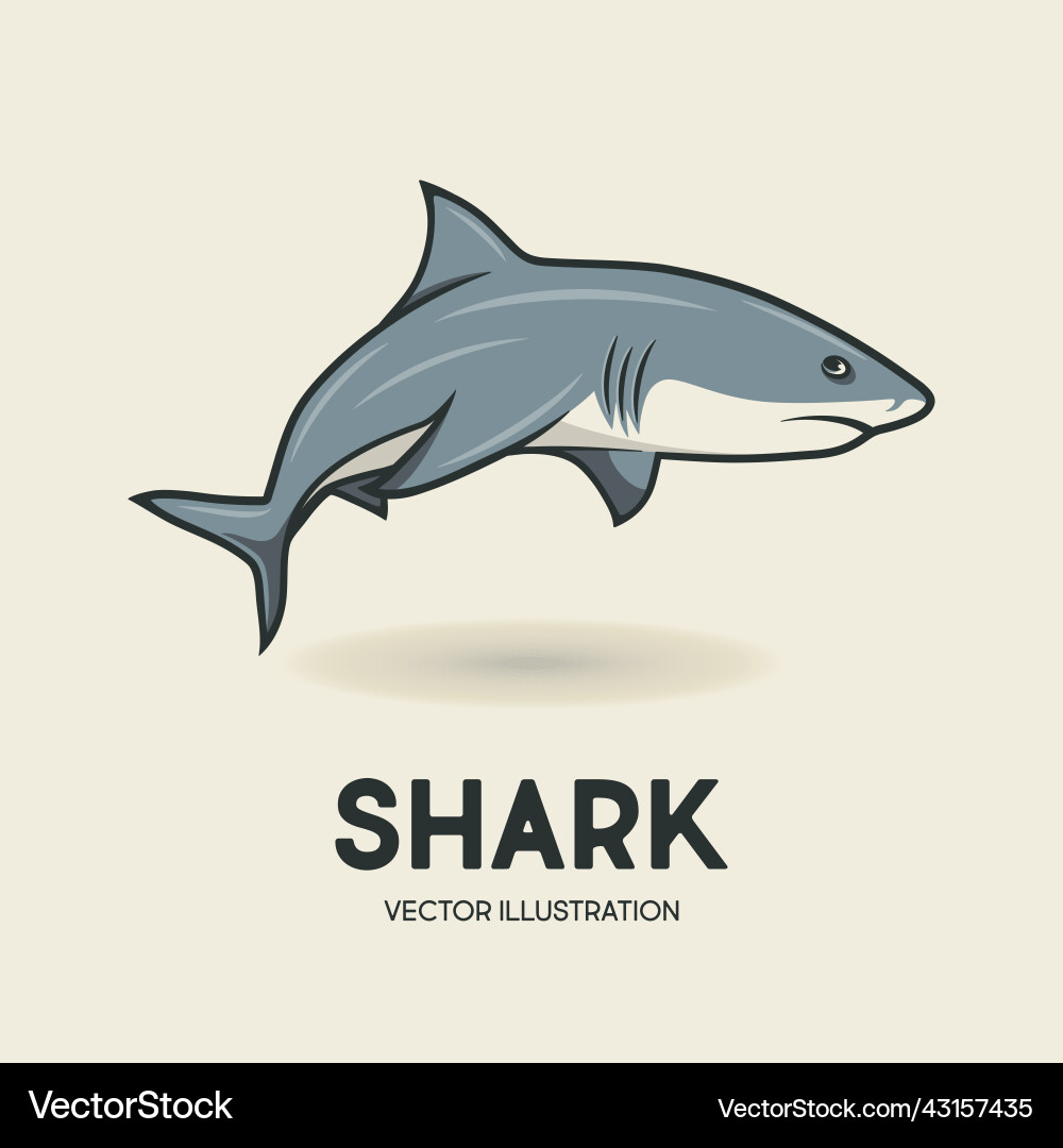 Cartoon shark isolated hand drawn colored Vector Image