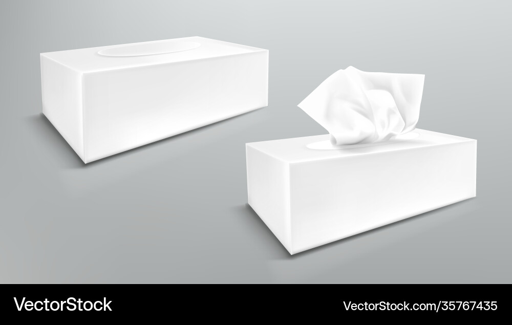Paper napkin box mockup close and open packages Vector Image