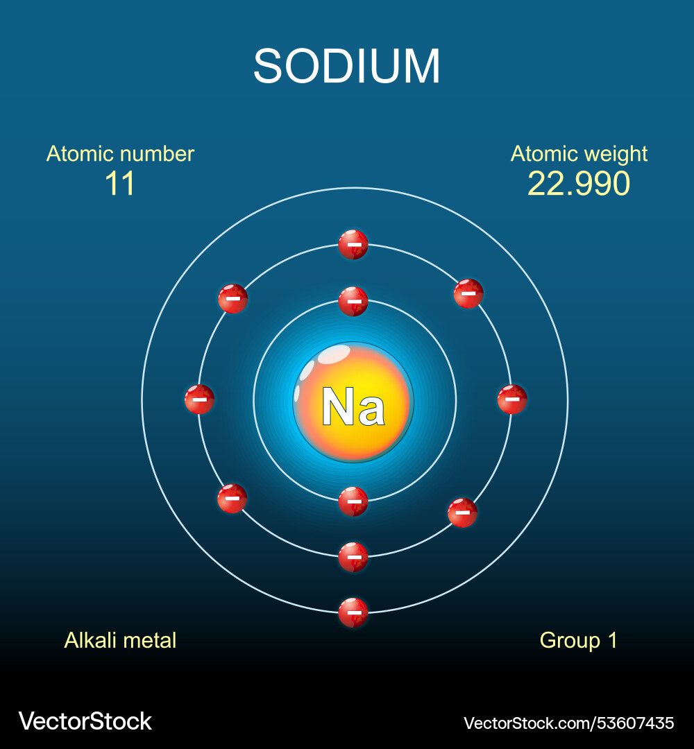 Sodium atom structure bohr model of atom Vector Image