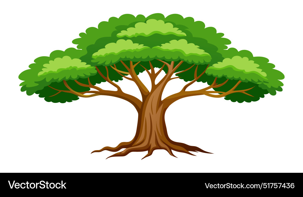 Ashoka tree isolated flat on white background Vector Image