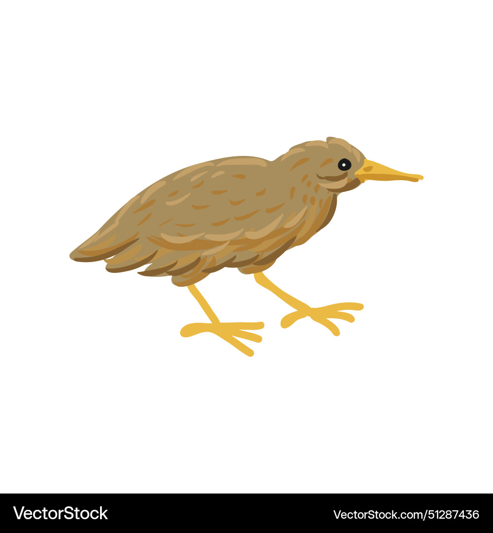 Drawing great bittern bird Royalty Free Vector Image