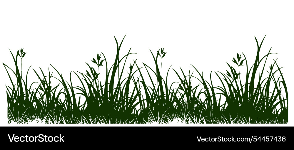 Hand drawn grass field border Royalty Free Vector Image