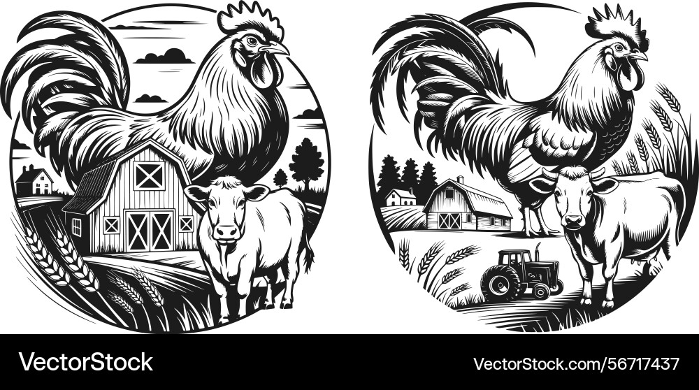 Chicken farm scene animal Royalty Free Vector Image