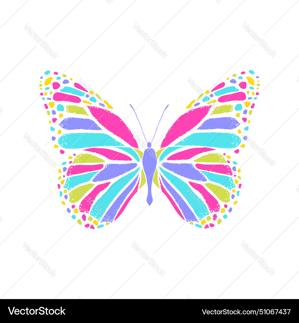 Colorful butterfly Royalty Free Vector Image - VectorStock