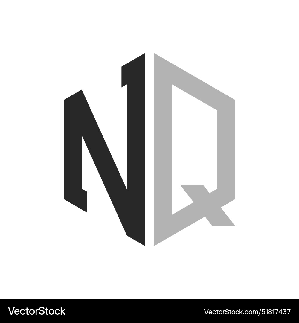 Modern unique hexagon letter nq logo design Vector Image