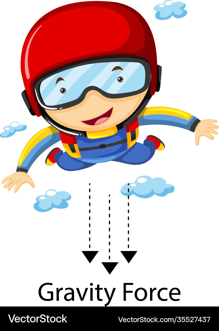 Showing gravity force example with a skydriver Vector Image